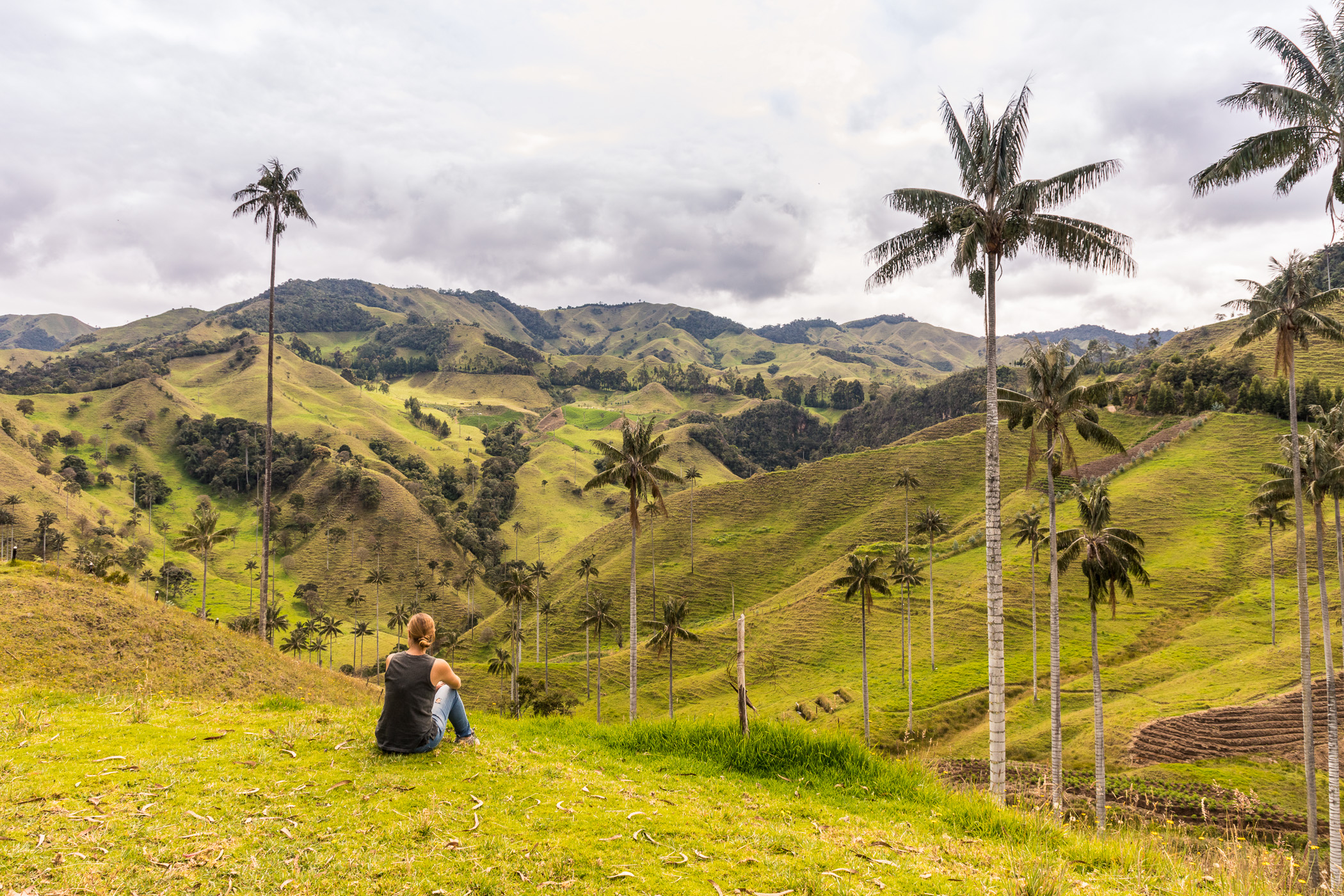 Highlights of Colombia | Society of Everywhere